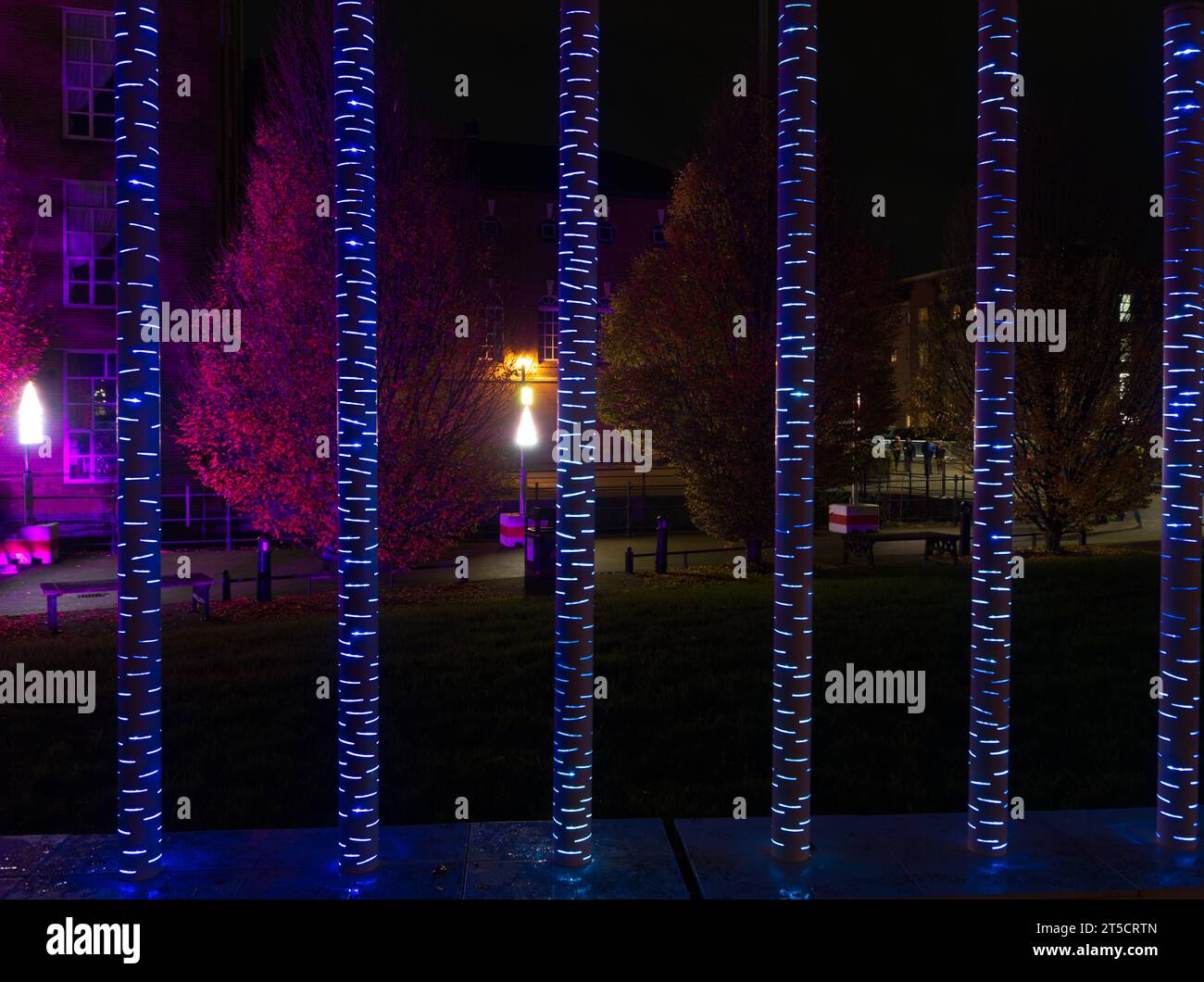 The scintillated birch hi-res stock photography and images - Alamy