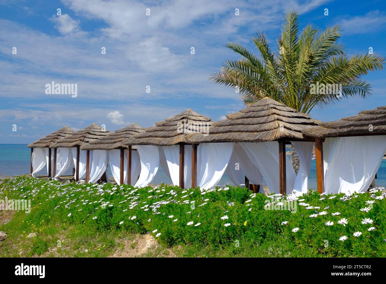 Canopied sunbeds hi-res stock photography and images - Alamy