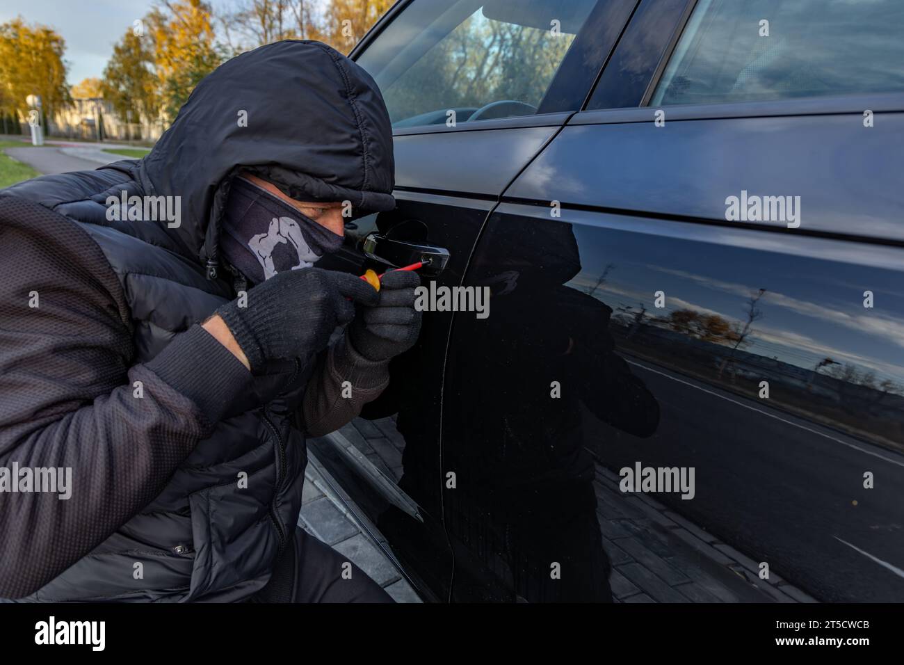 Attempted to steal a car using a suitcase in the city center - a thief ...