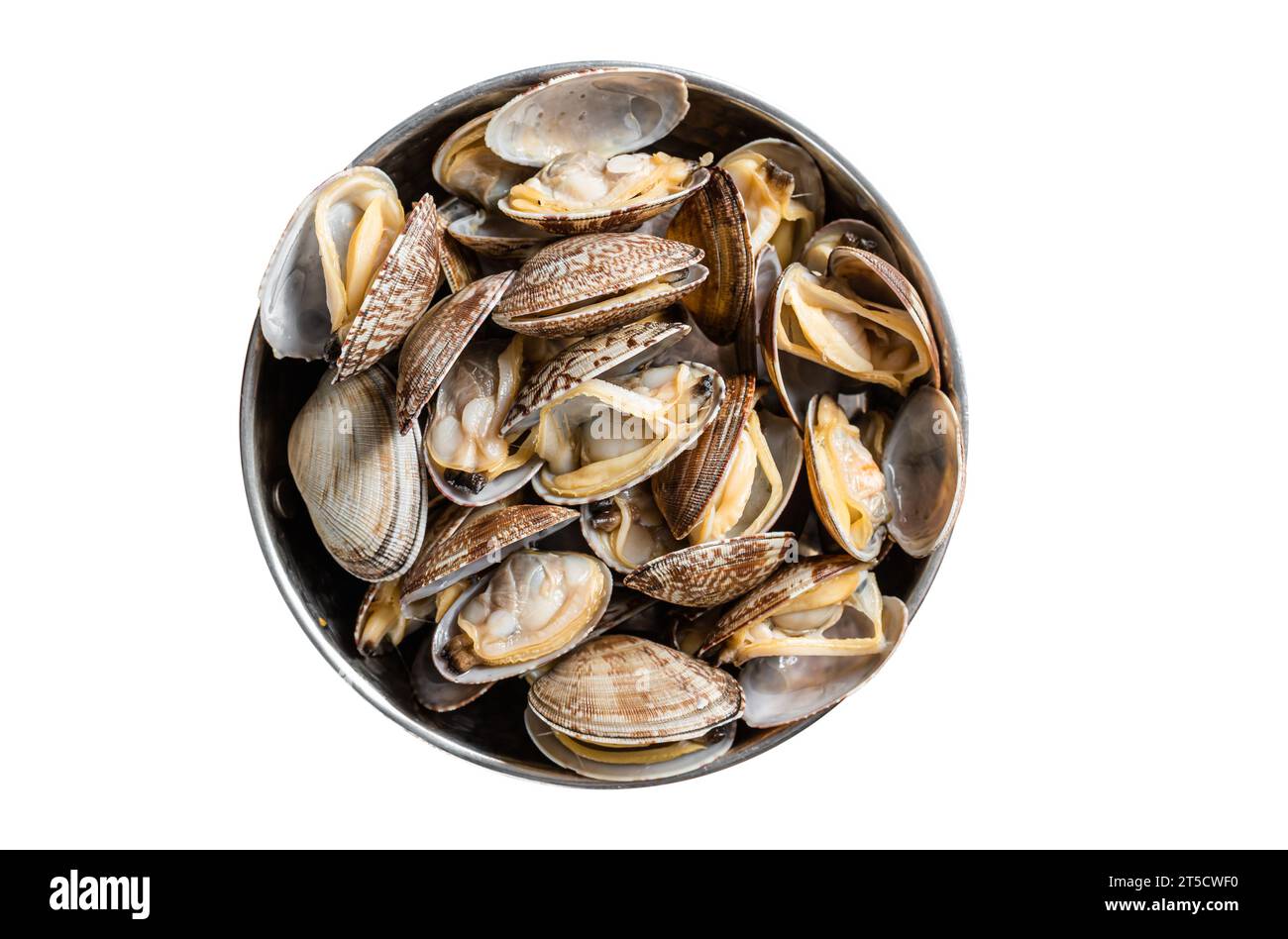 Garlic white wine shells Clams, vongole in a skillet with herbs ...