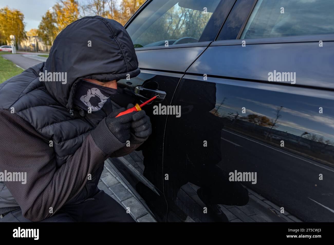 Attempted to steal a car using a suitcase in the city center - a thief ...