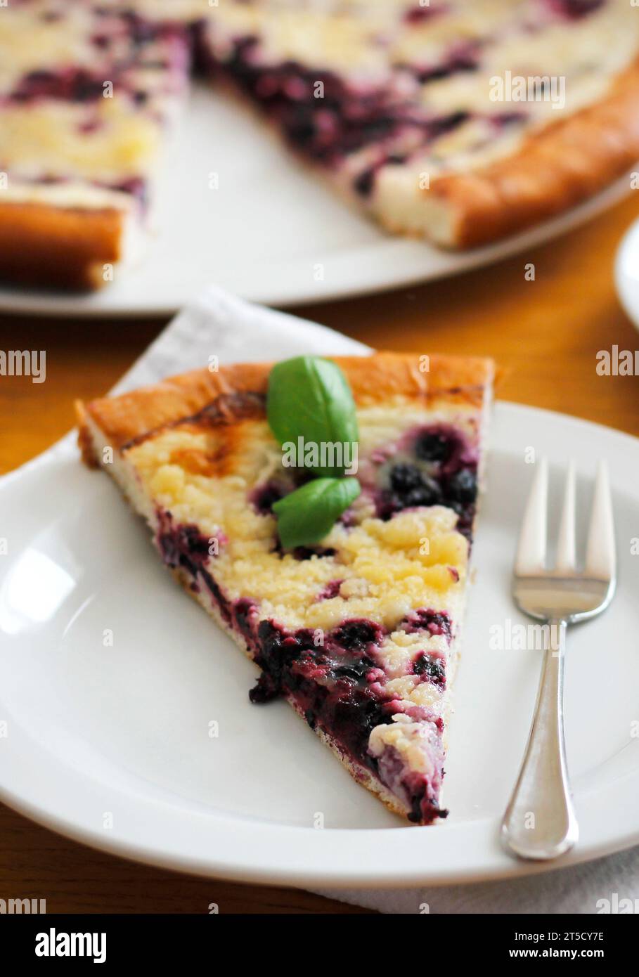 Piece of traditional Wallachian blueberry pie called "frgal" on a white ...