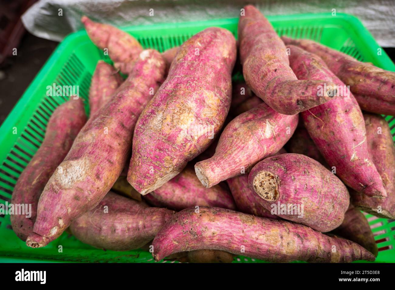 Japanese sweet potato, purple sweet potatoes, at a market Stock Photo ...