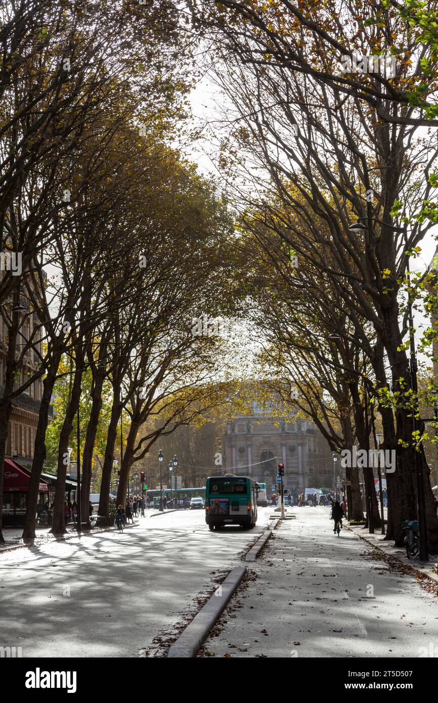Paris boulevard with trees hi-res stock photography and images - Alamy