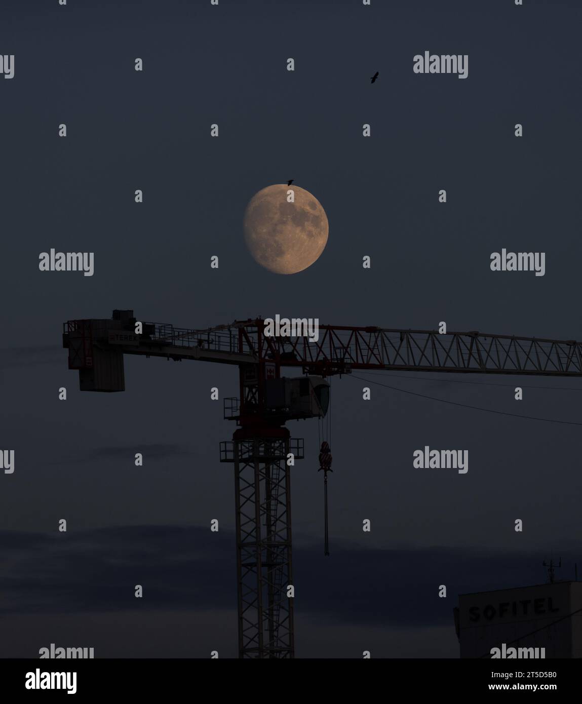 Mystique moonlit night 🌌📸 #MoonMagic Stock Photo - Alamy