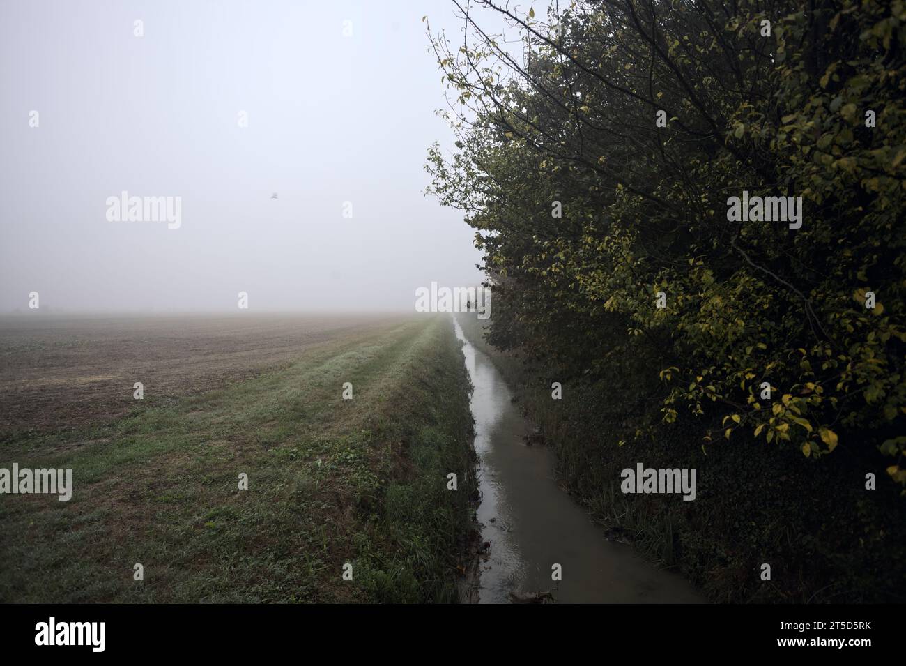 Trench with water bordered by a block of houses and a field on a foggy ...