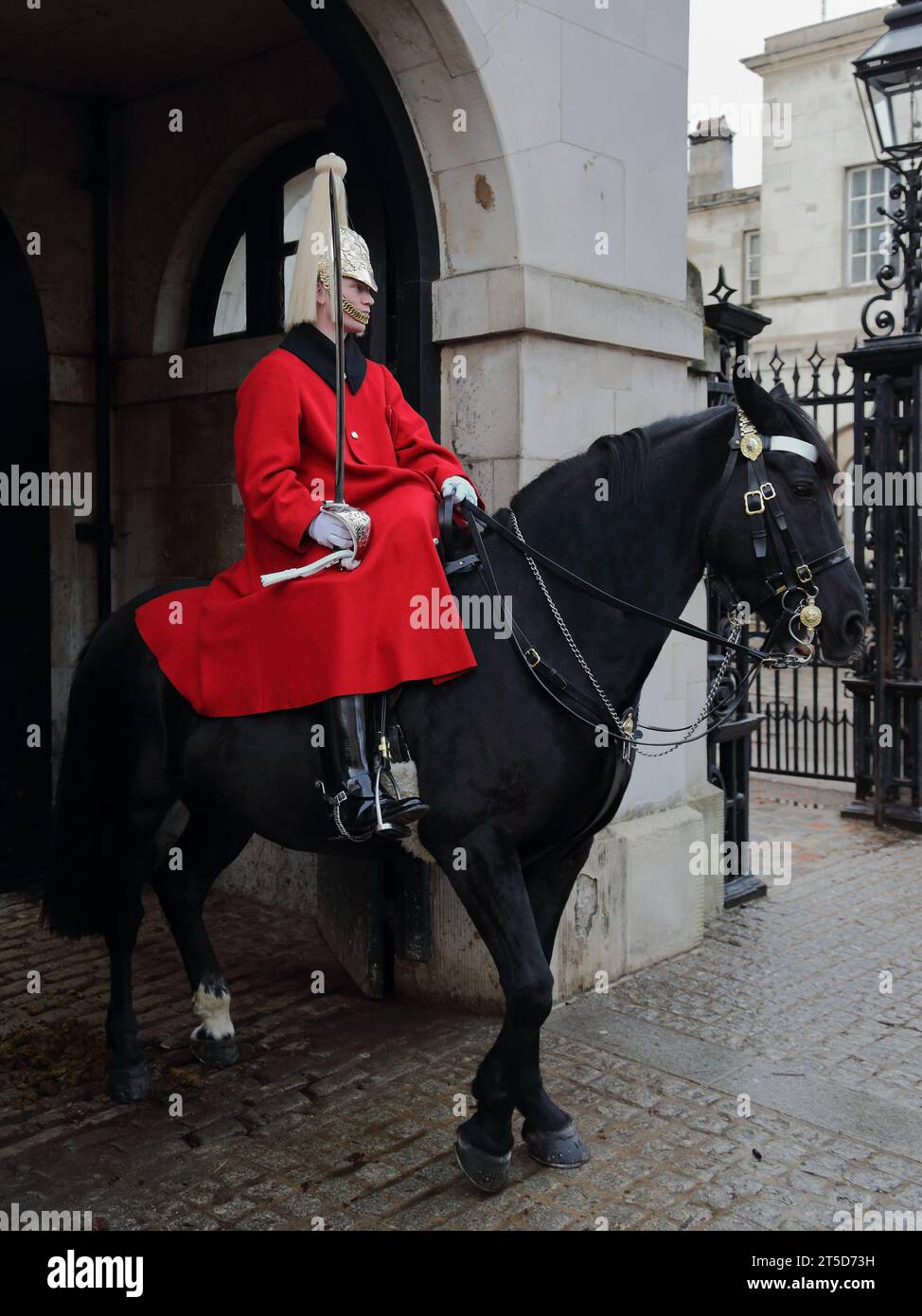 Soldiers of the King's Lifeguard at the Changing of the Guard in their ...