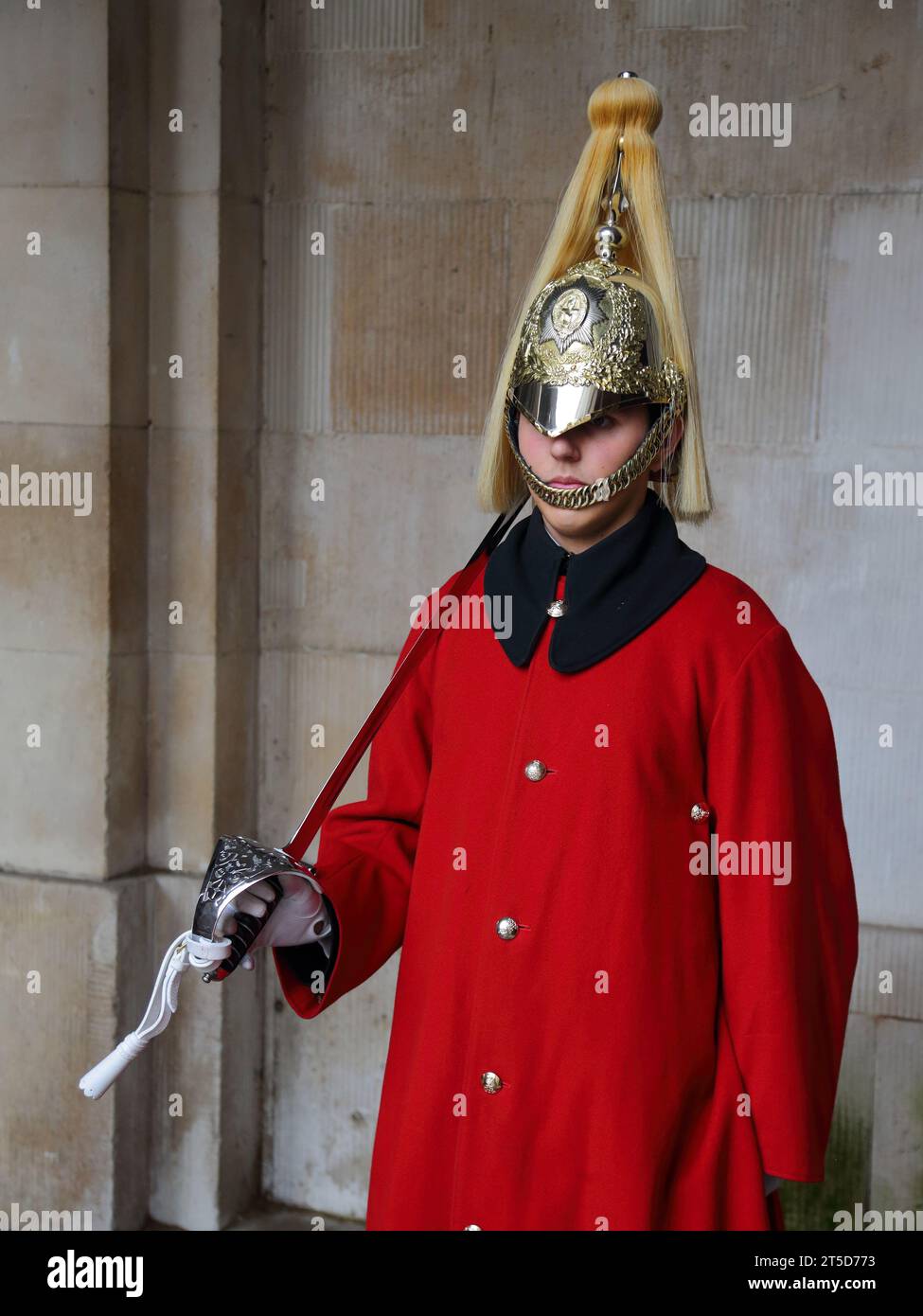 Soldiers of the King's Lifeguard at the Changing of the Guard in their ...