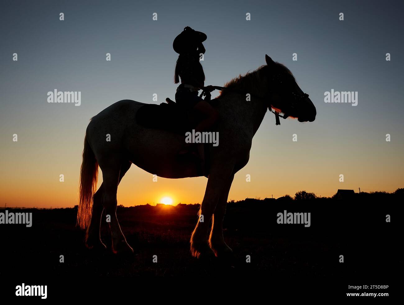 Horseback woman riding on galloping horse with red rising sun on ...