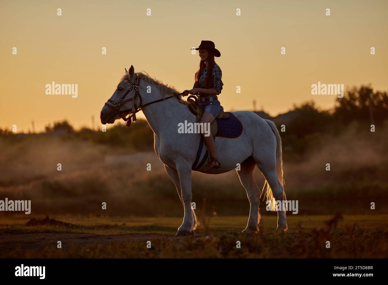 Horseback woman riding on galloping horse with red rising sun on ...