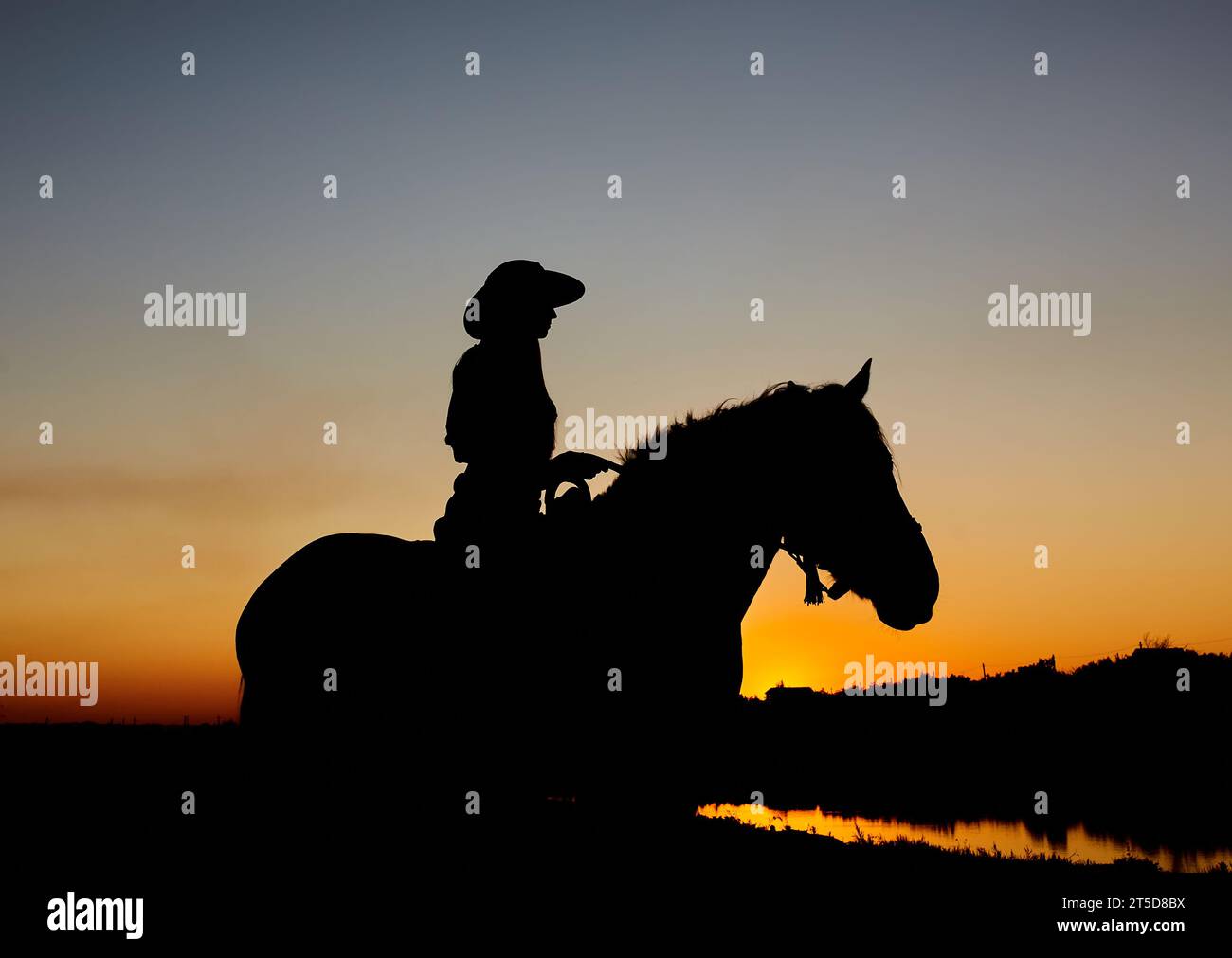 Horseback woman riding on galloping horse with red rising sun on ...
