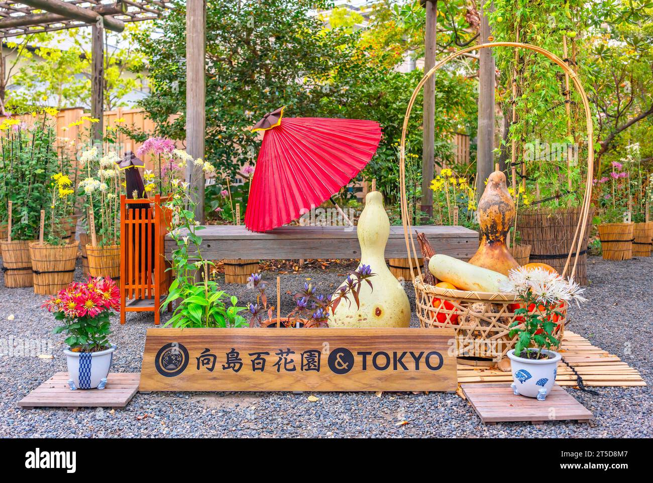 tokyo, japan - nov 13 2022: Photo spot of Mukojima-Hyakkaen garden ... tokyo, japan - nov 13 2022: Photo spot of Mukojima-Hyakkaen garden ...