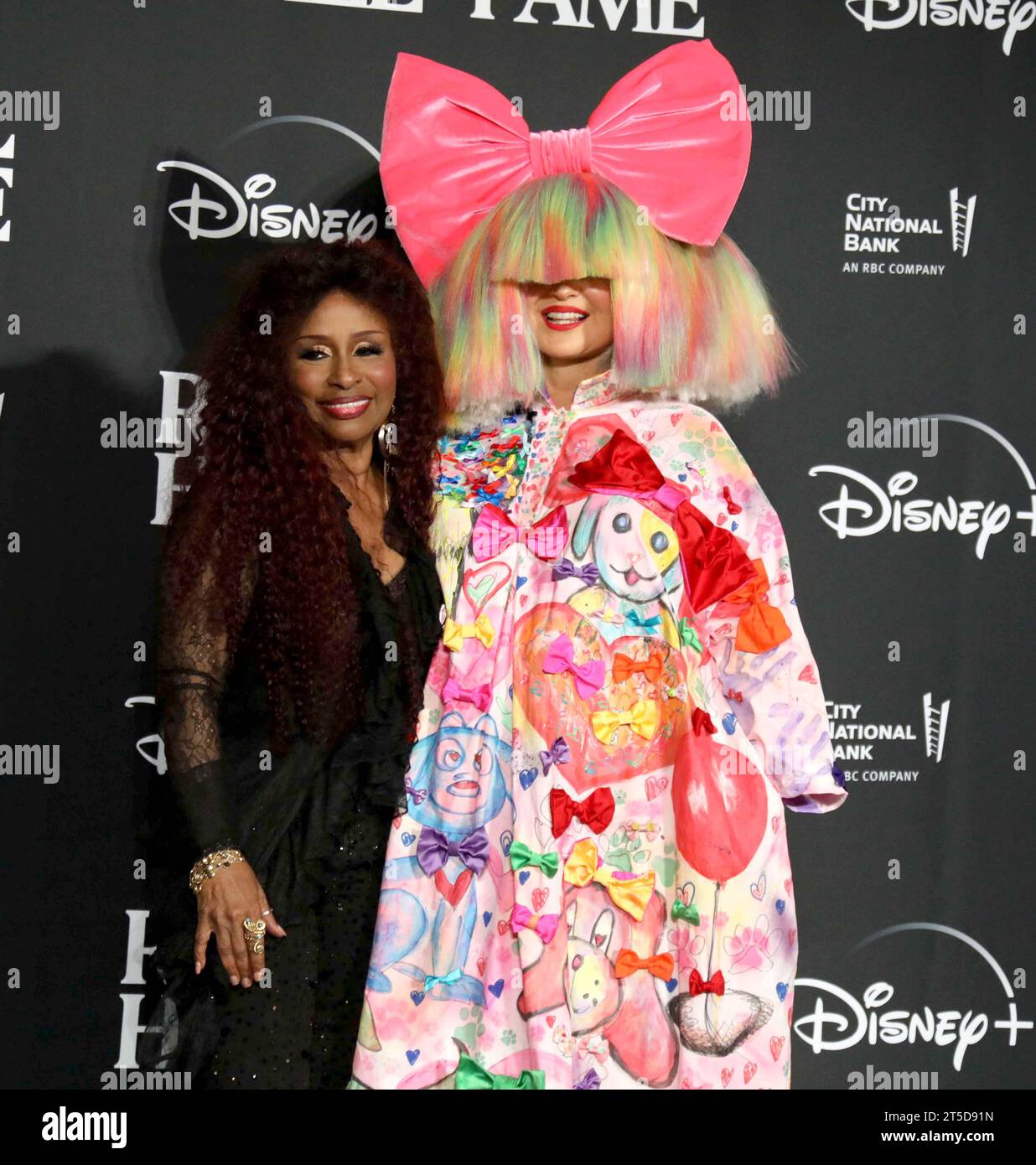 November 3, 2023, Brooklyn, New York, USA: Singers CHAKA KHAN and SIA ...