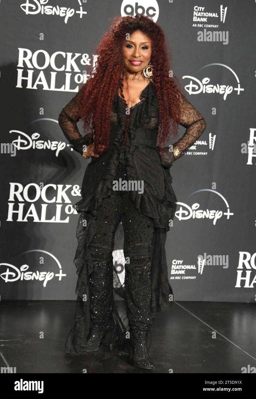 November 3, 2023, Brooklyn, New York, USA: Singer CHAKA KHAN seen in ...