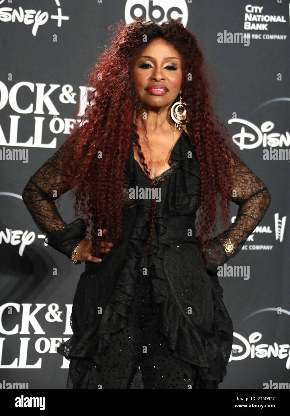 November 3, 2023, Brooklyn, New York, USA: Singer CHAKA KHAN seen in ...