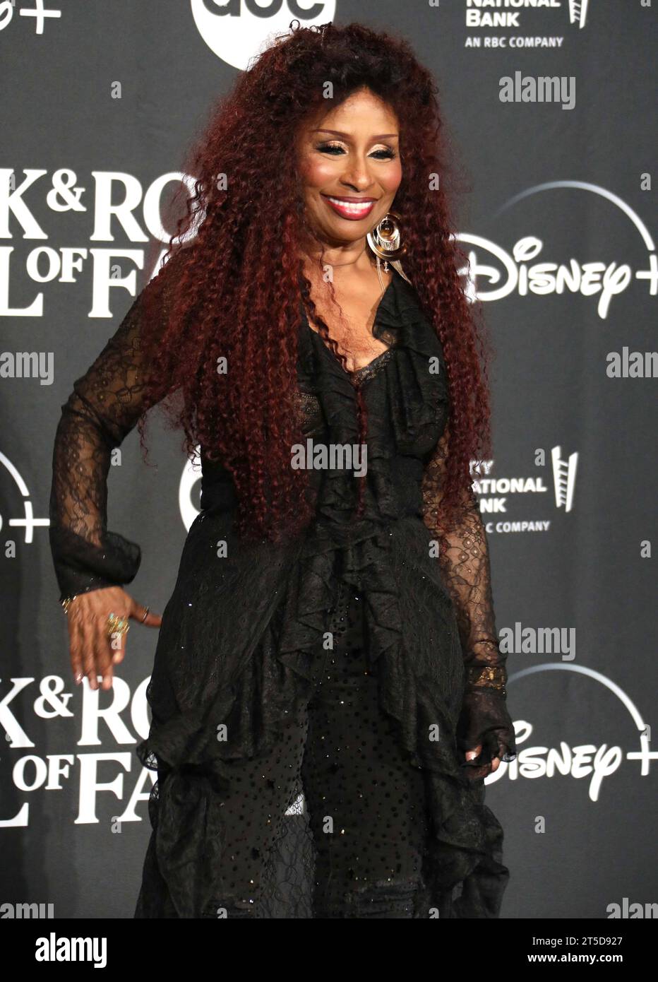 November 3, 2023, Brooklyn, New York, USA: Singer CHAKA KHAN seen in ...
