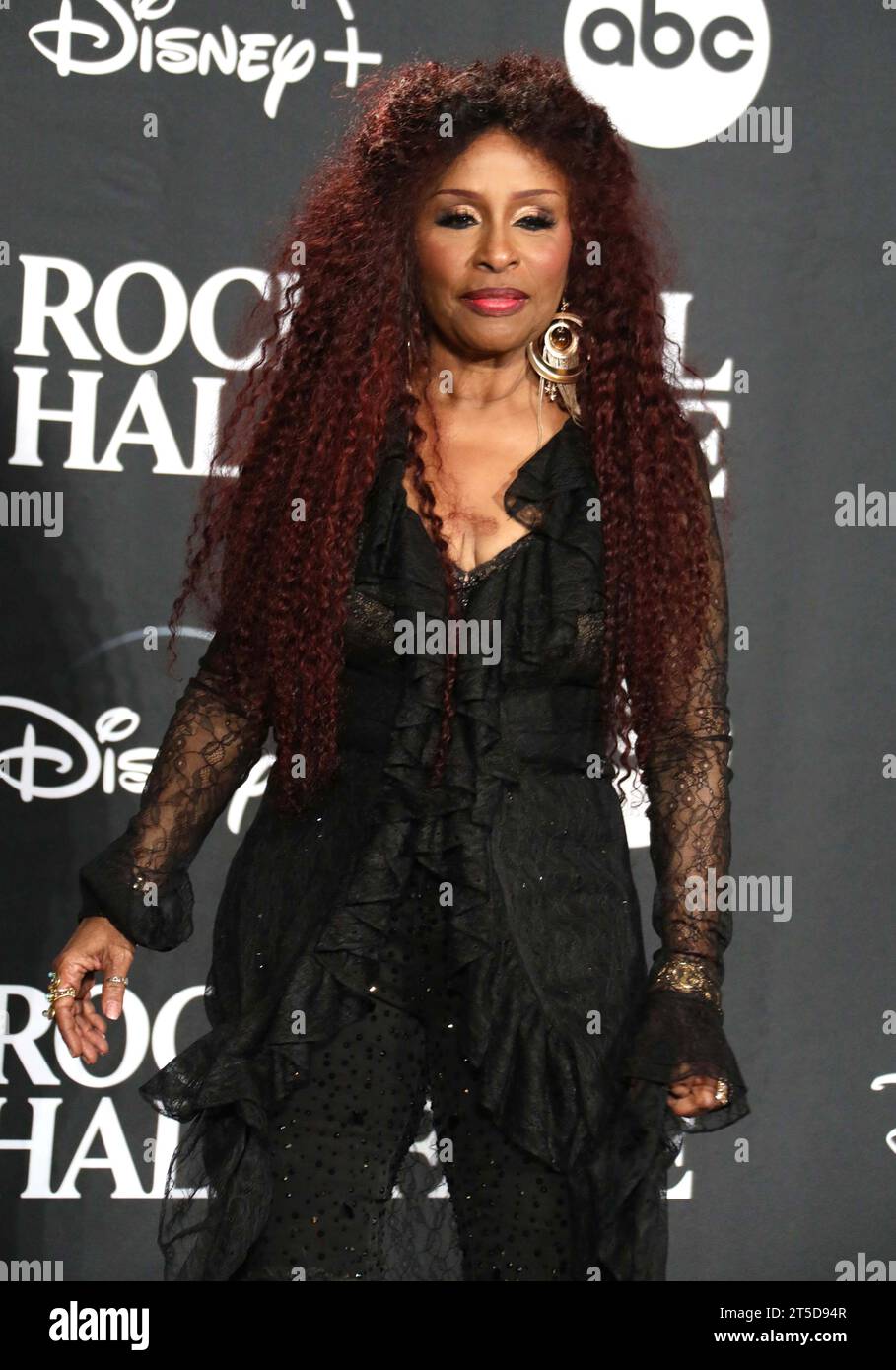 November 3, 2023, Brooklyn, New York, USA: Singer CHAKA KHAN seen in ...