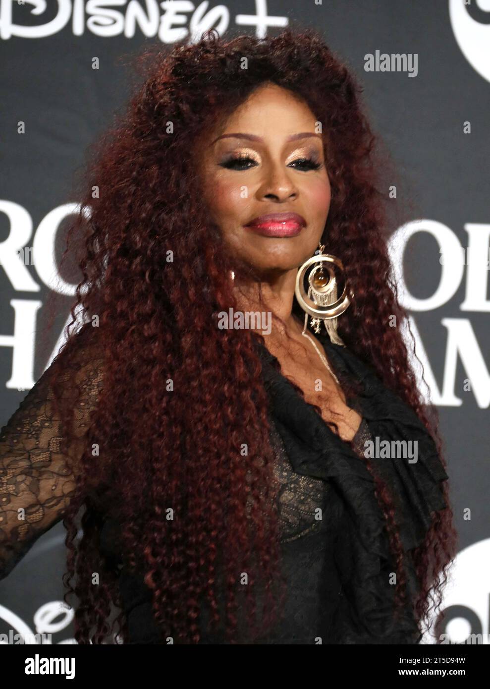 November 3, 2023, Brooklyn, New York, USA: Singer CHAKA KHAN seen in ...