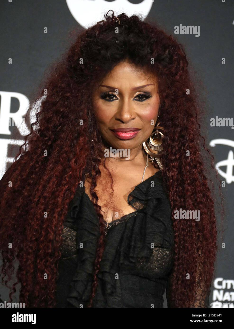 November 3, 2023, Brooklyn, New York, USA: Singer CHAKA KHAN seen in ...