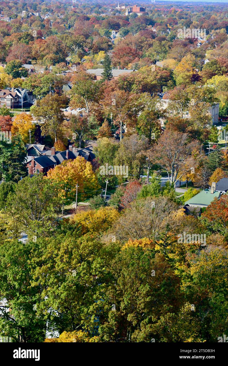 Fall colors in October 2023 in in suburban Lakewood, Ohio Stock Photo ...
