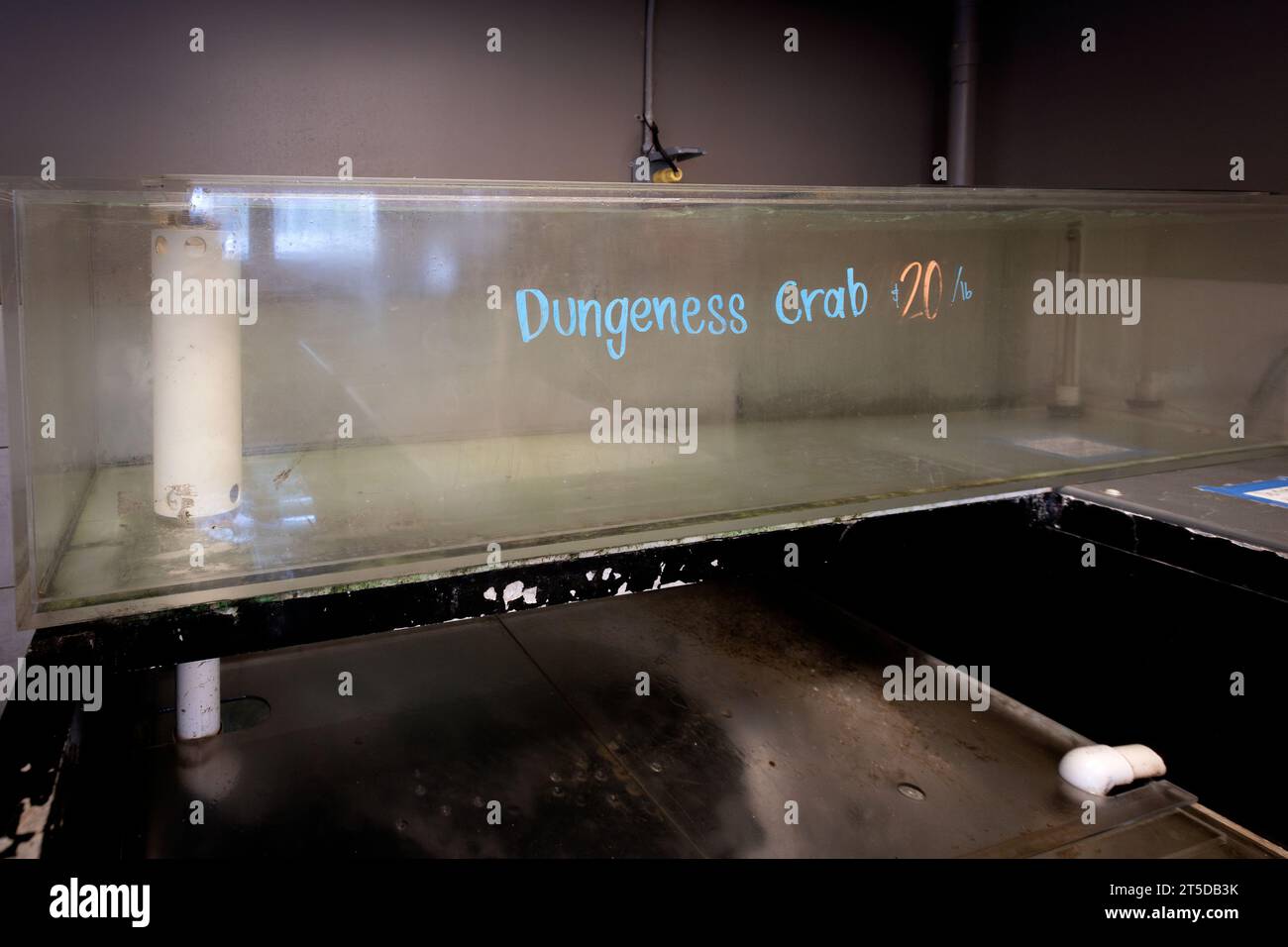 Empty fish tank hi-res stock photography and images - Alamy