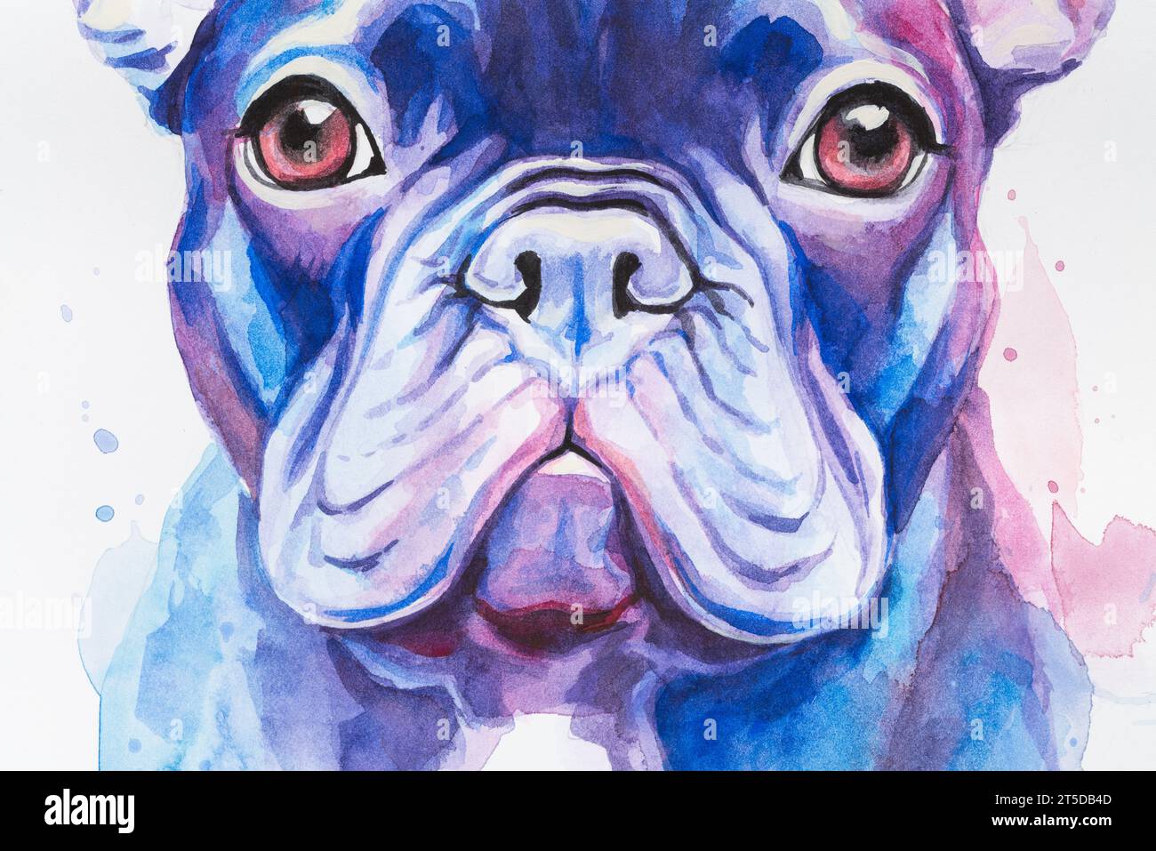 dog painted in watercolor on a white background Stock Photo - Alamy