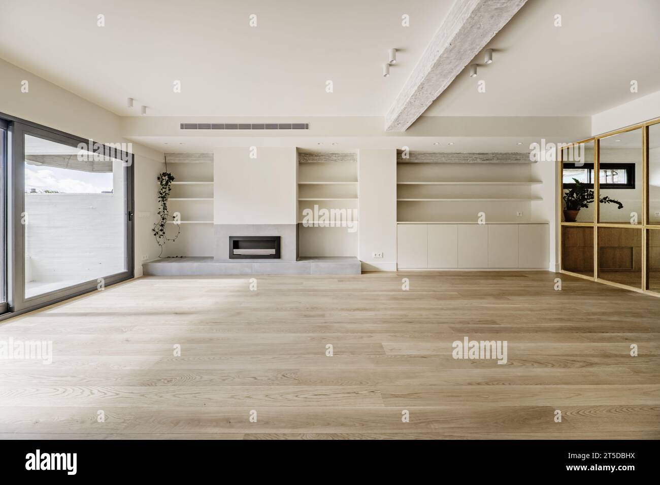 Large empty living room with custom shelving placed on the wall ...