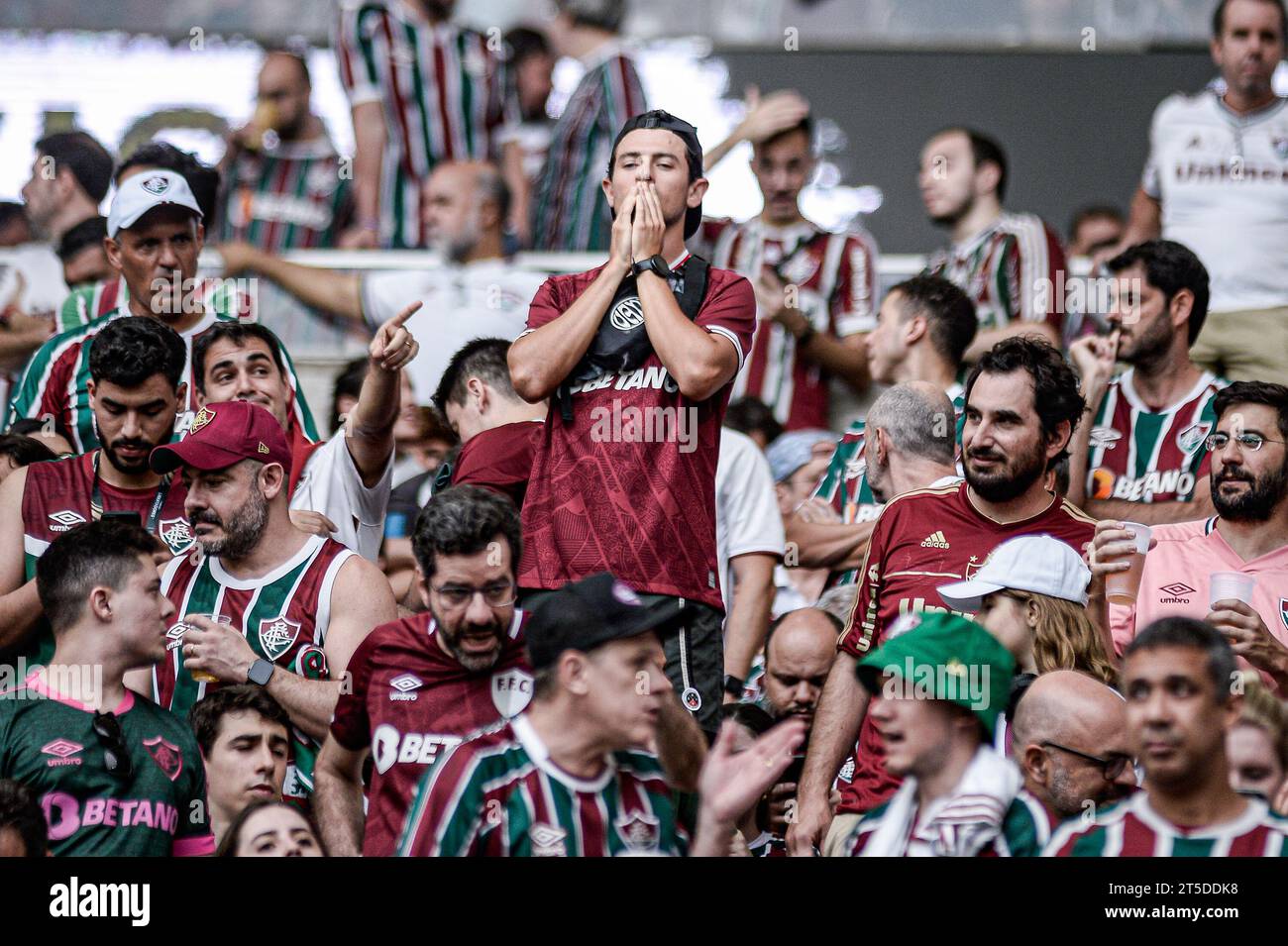 Rio De Janeiro, Brazil. 04th Nov, 2023. Fluminense fans seen, during a ...