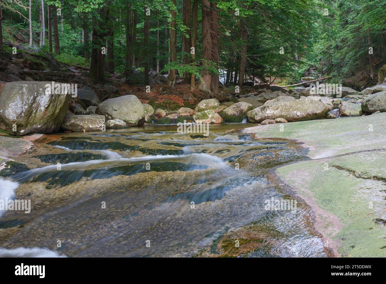 Mountain river Mumlava, Krkonose national park, Czech Republic, summer ...