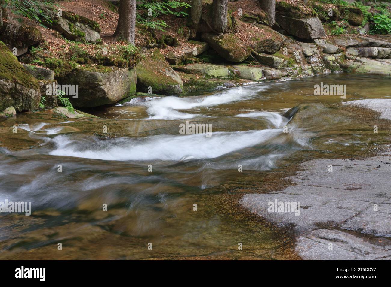 Mountain river Mumlava, Krkonose national park, Czech Republic, summer ...
