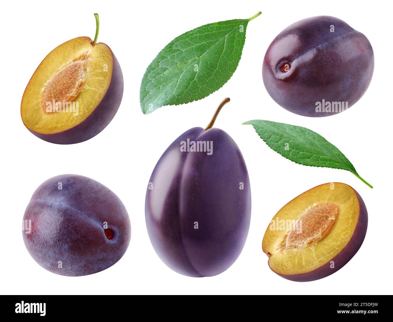 Collection of whole and cut blue plum fruits and leaves isolated on ...