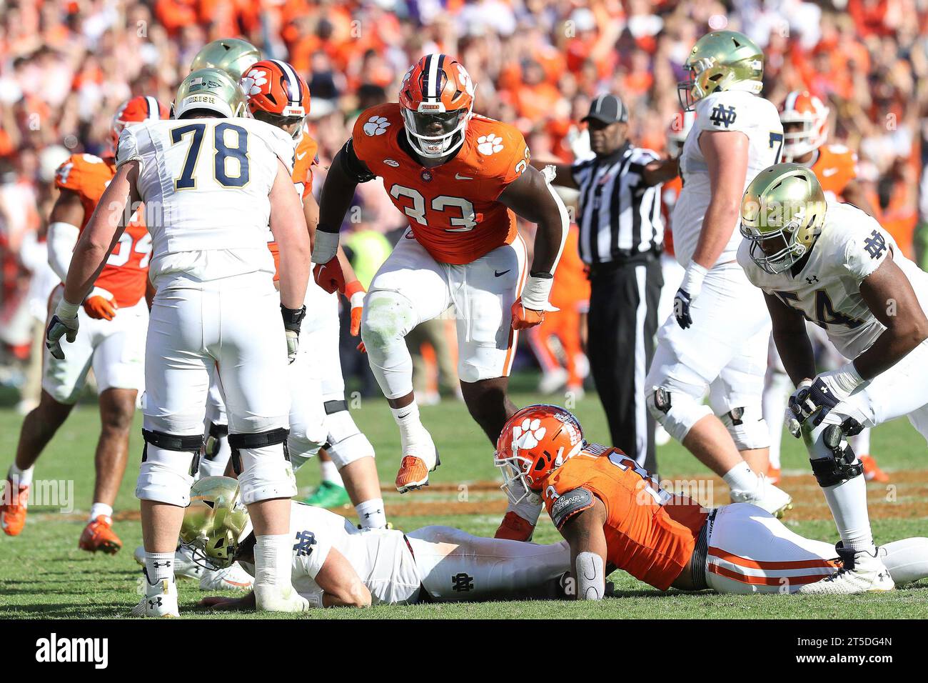 CLEMSON, SC - NOVEMBER 04: ) Clemson Tigers defensive tackle Ruke ...