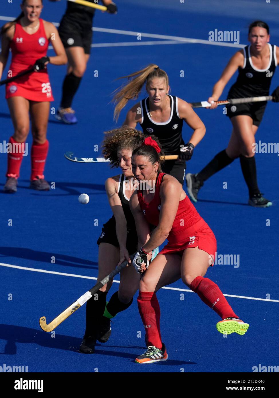 Canada's Natalie Sourisseau, left, and Chile's Denise Rojas, fight for ...