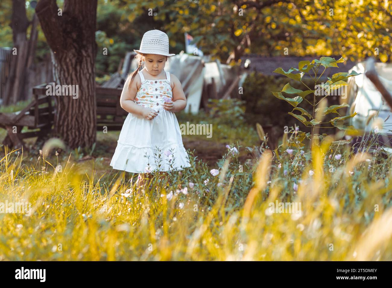 Little girl in white dress and white har looking at something out in ...