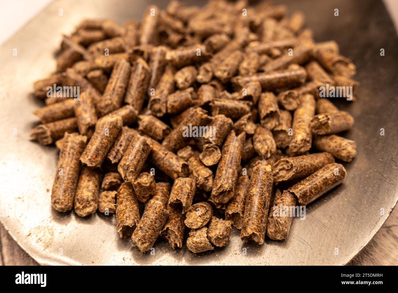 selective focus, biomass wood pellets, ecological combustible wood ...
