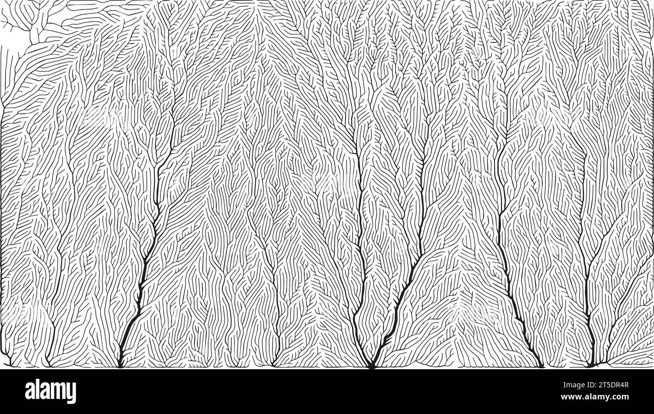 Growth Pattern Generative Branching Structure Organic Net Of Vessels Texture Stock Vector