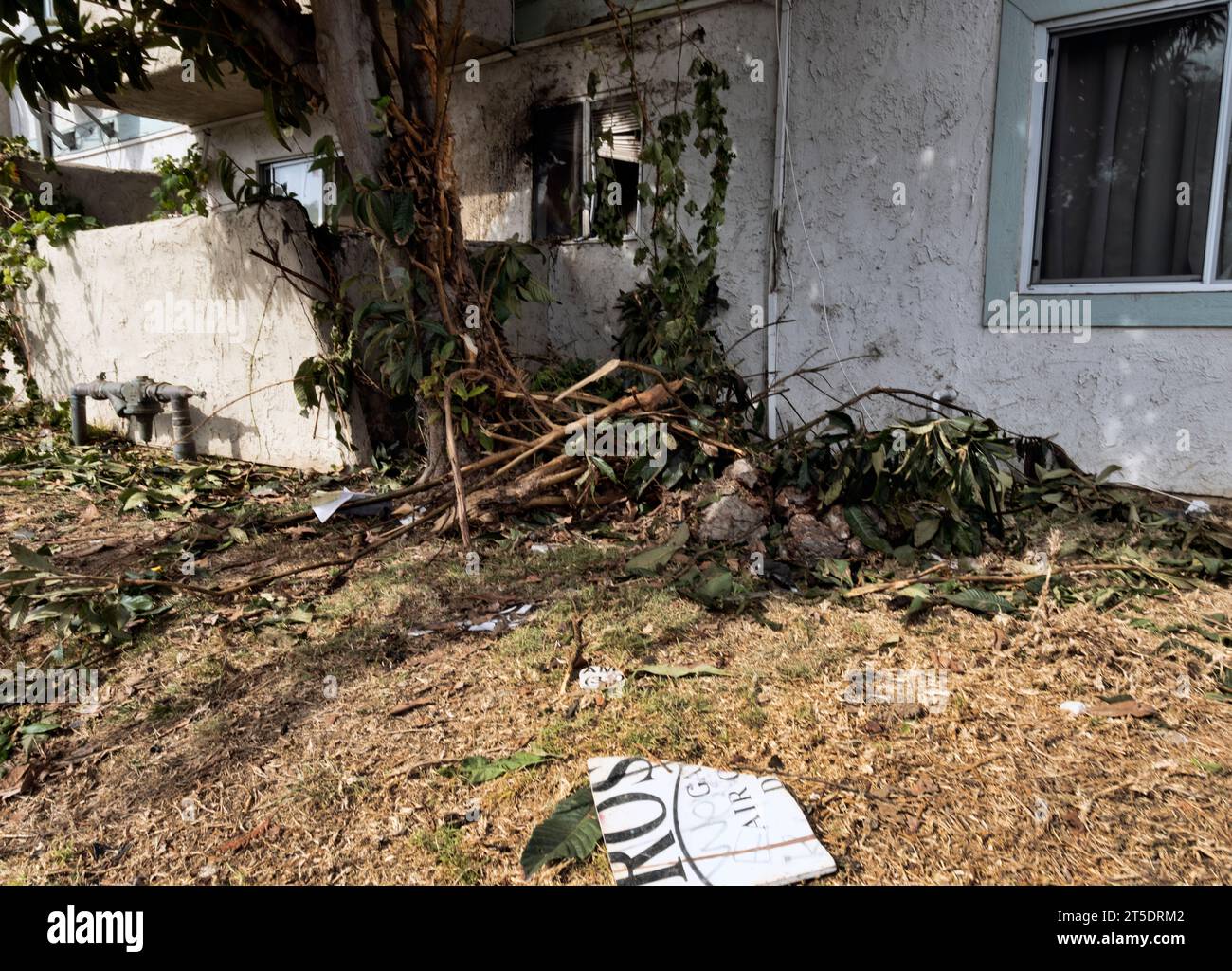 Debris and damage to an apartment is seen where a crash occurred at an ...