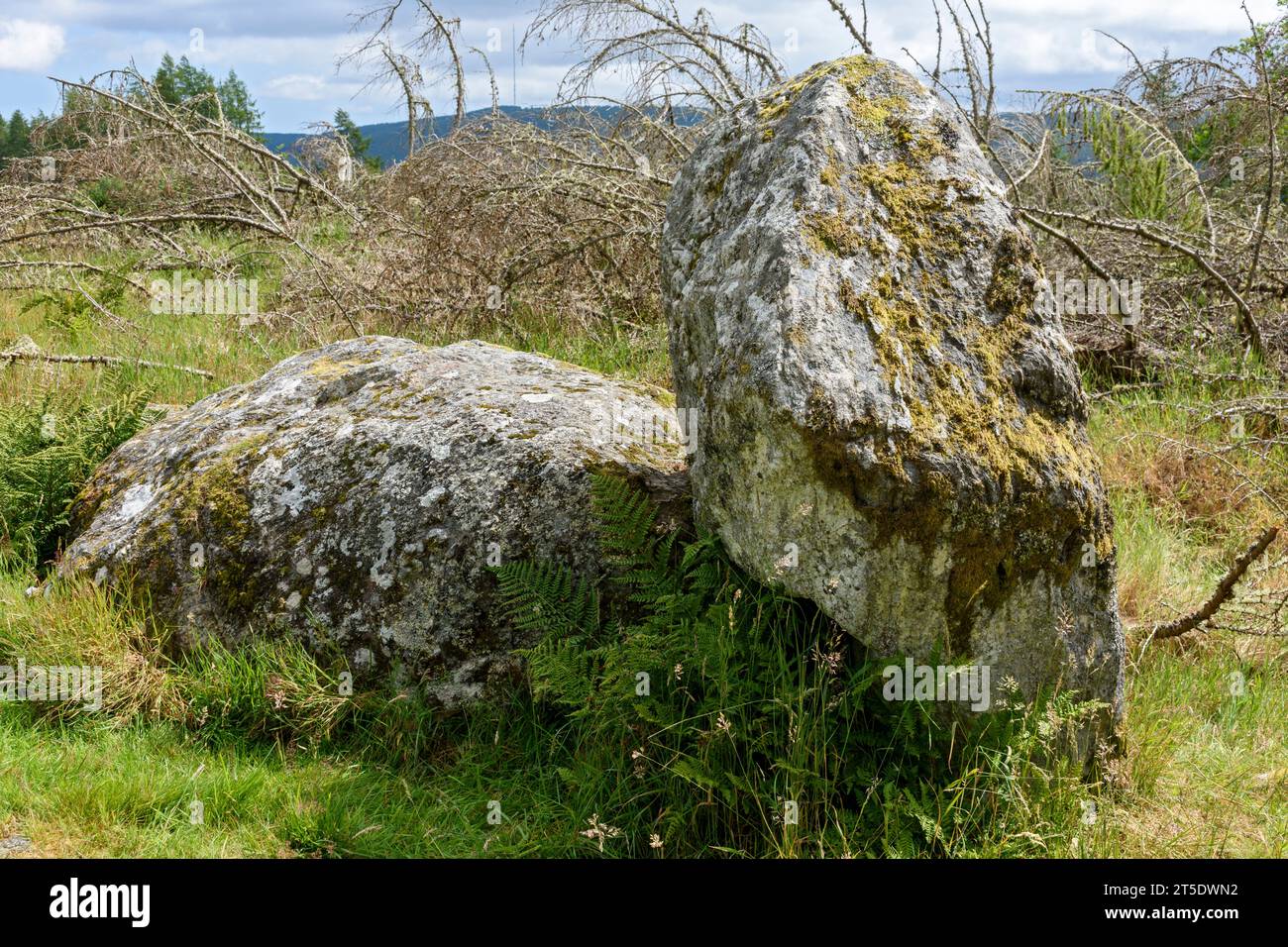 Nine stones circle hi-res stock photography and images - Alamy