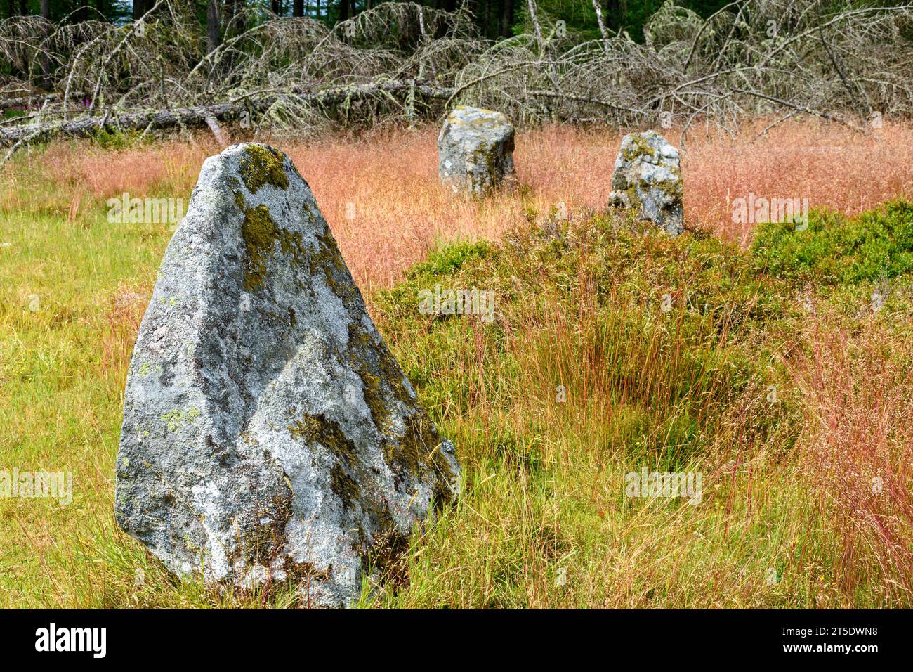 Nine stones circle hi-res stock photography and images - Alamy