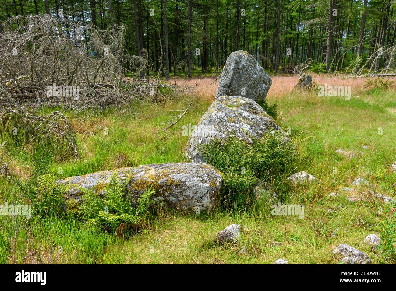 Nine stones circle scotland hi-res stock photography and images - Alamy