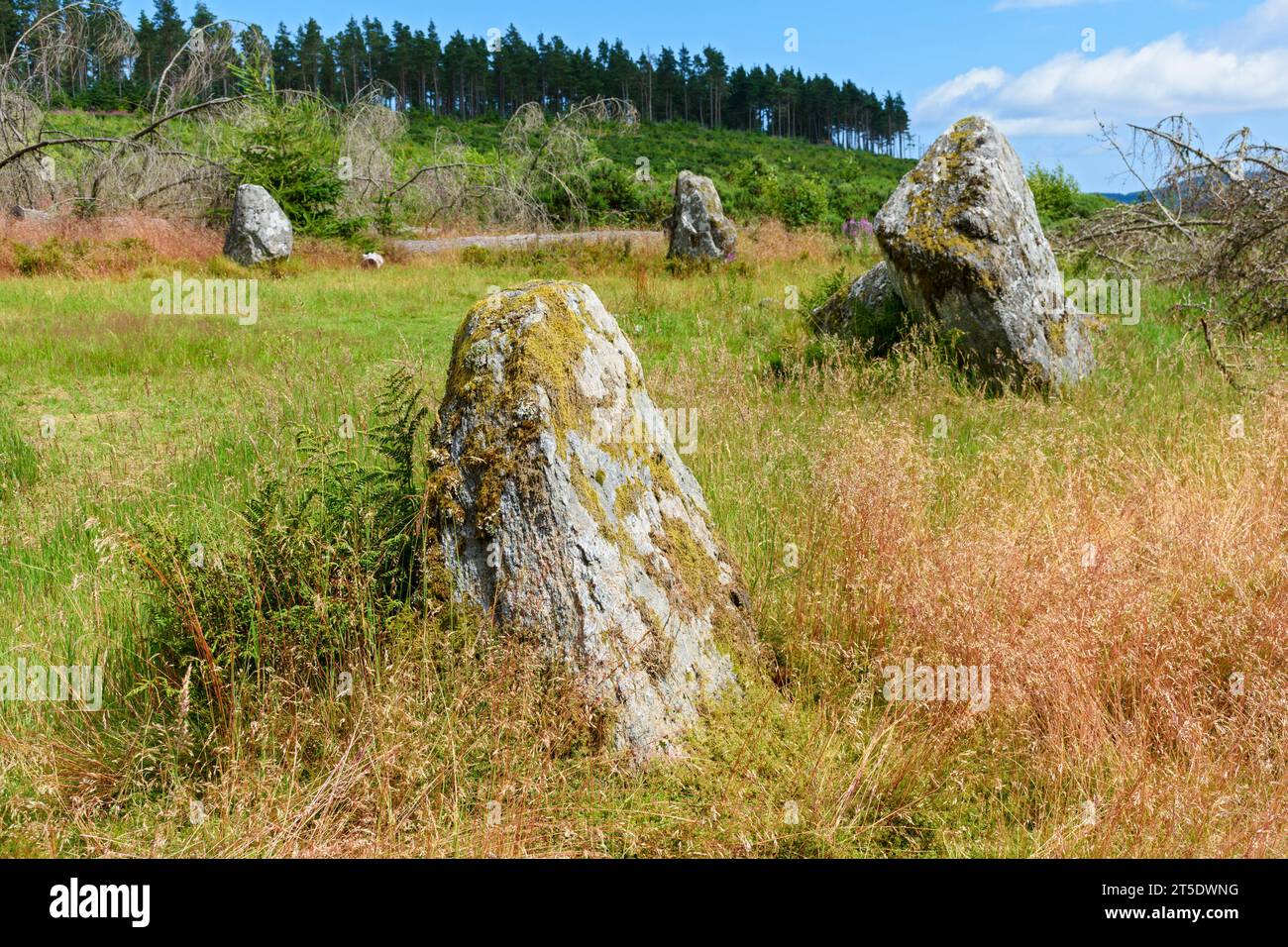 Nine stones circle scotland hi-res stock photography and images - Alamy
