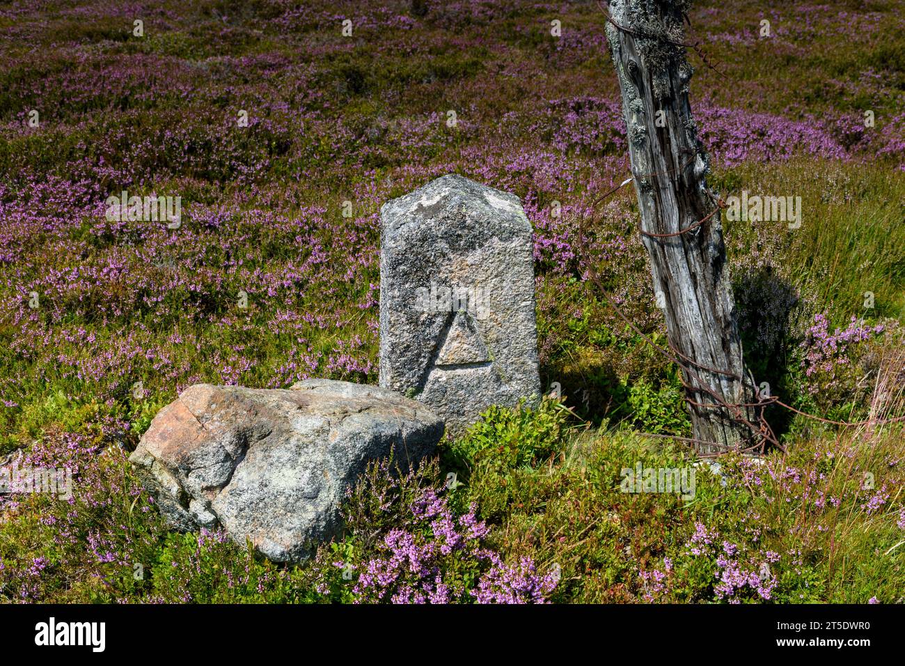 A boundary stone near Little Cairn, the eastern top of Morven ...