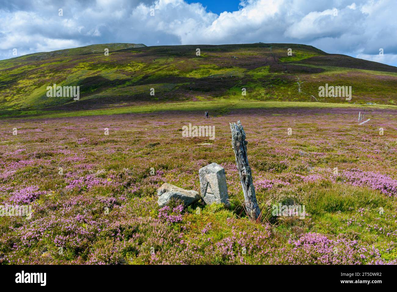Morven from the boundary stone near Little Cairn, the eastern top of ...