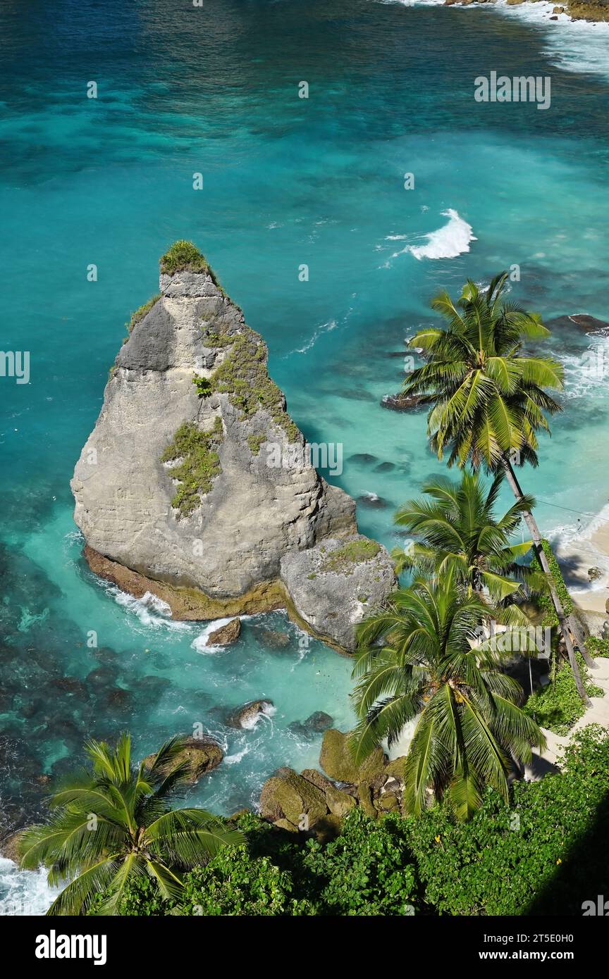 Sea stack and palm trees in Diamond Beach, Nusa Penida, Indonesia Stock ...