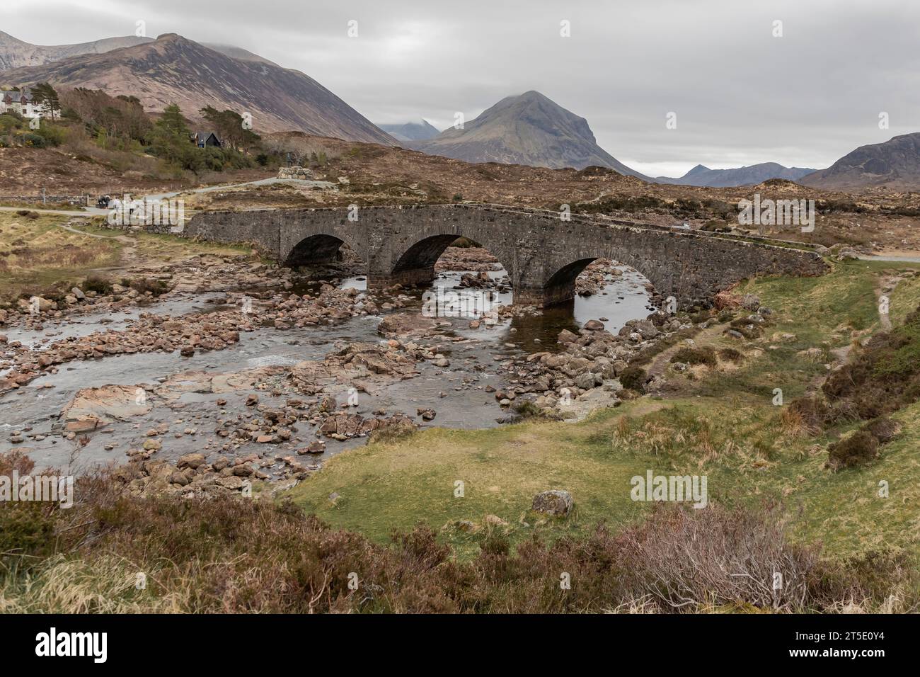 Spring scenery in a Scottish glen with an old stone bridge a stream and ...