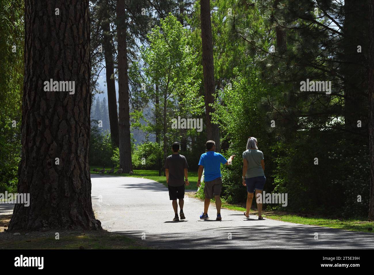 People walking at Falls Park by the Post Falls Dam on a sunny spring ...