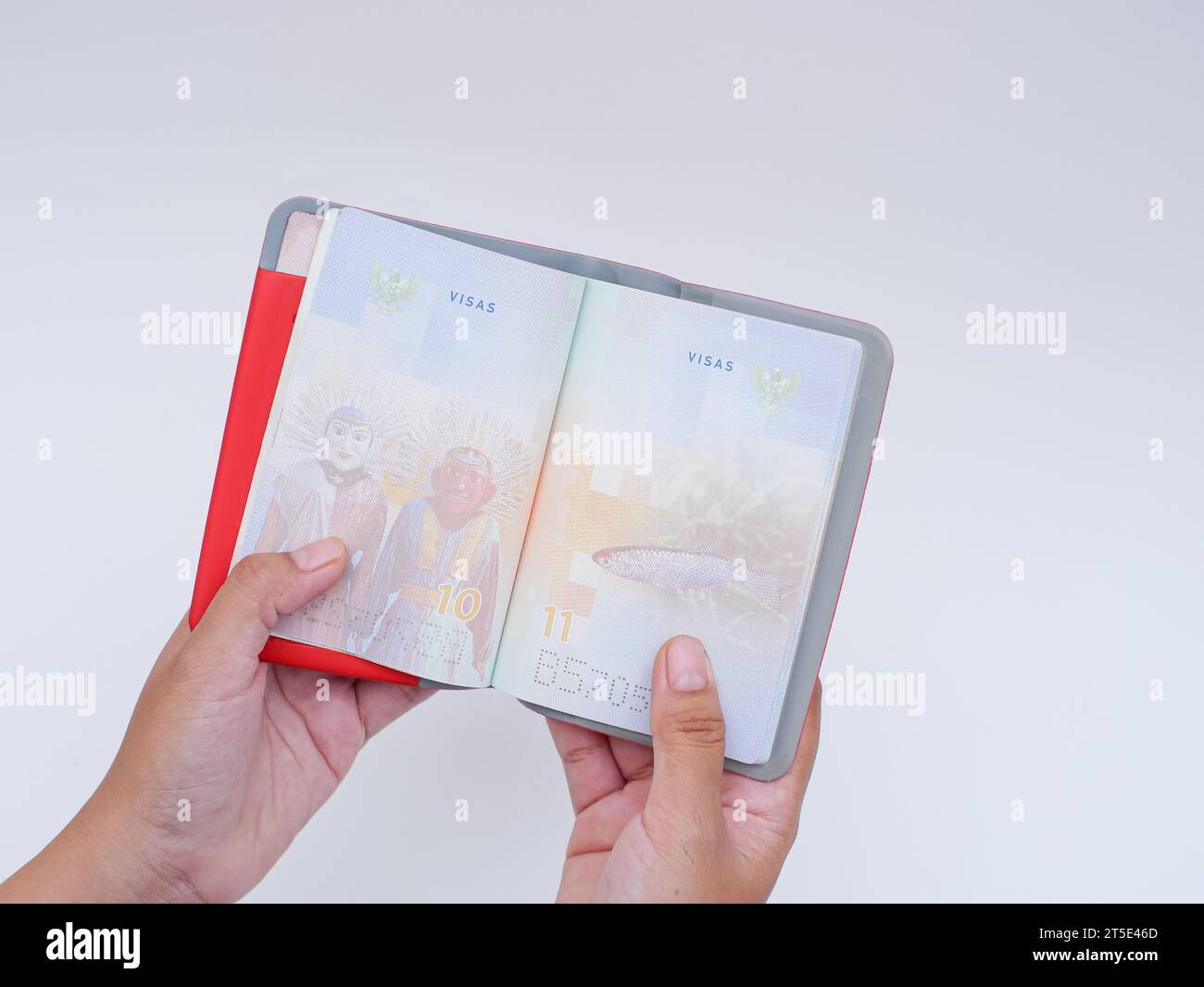 hand holding a blank Indonesian visa passport Stock Photo - Alamy