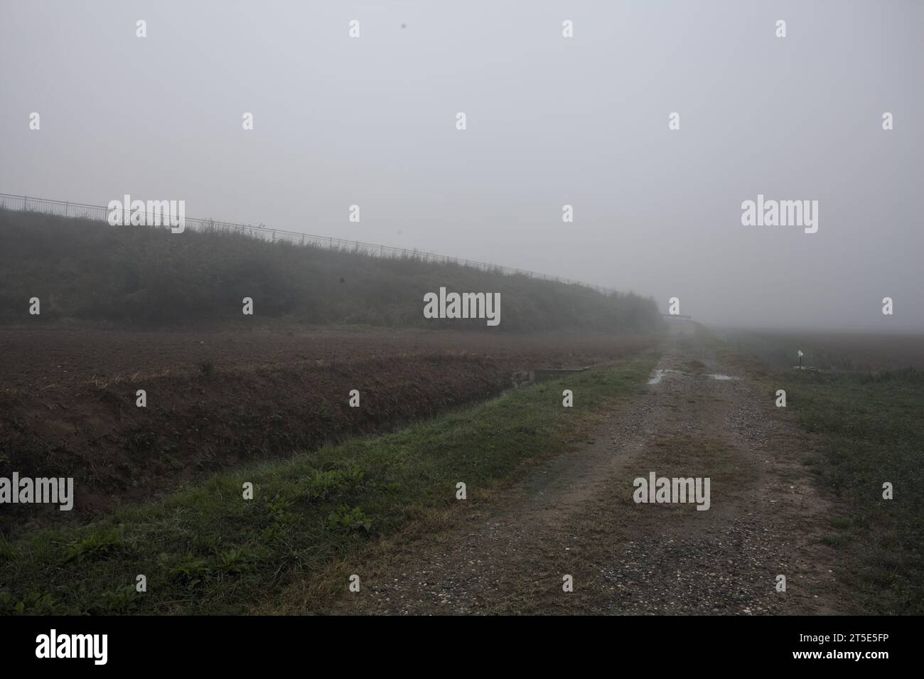Path bordered by a ditch next to a field on a foggy day in the italian ...