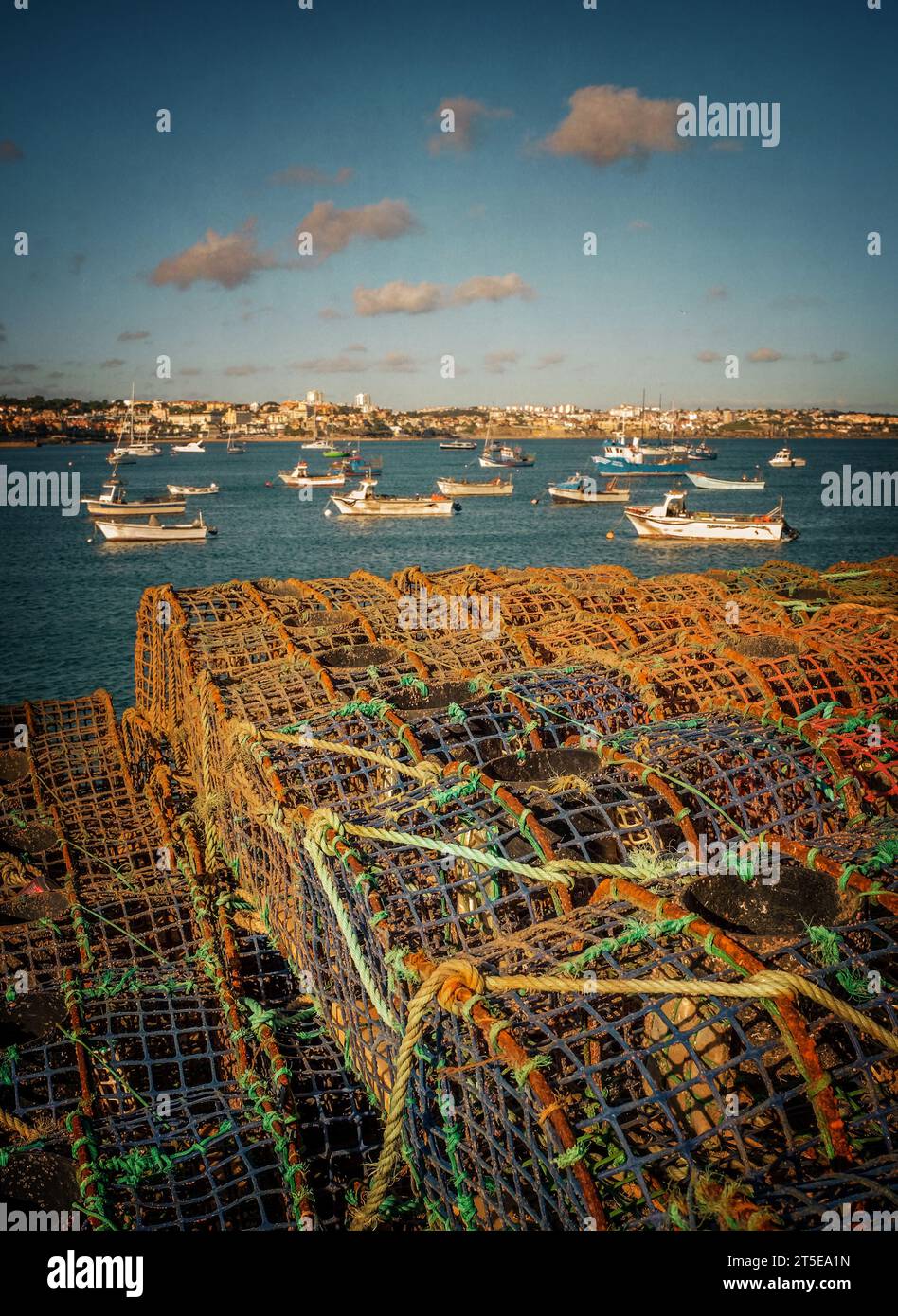 Natural landscape of Cascais Bay, Portugal, with piles of fishing traps ...
