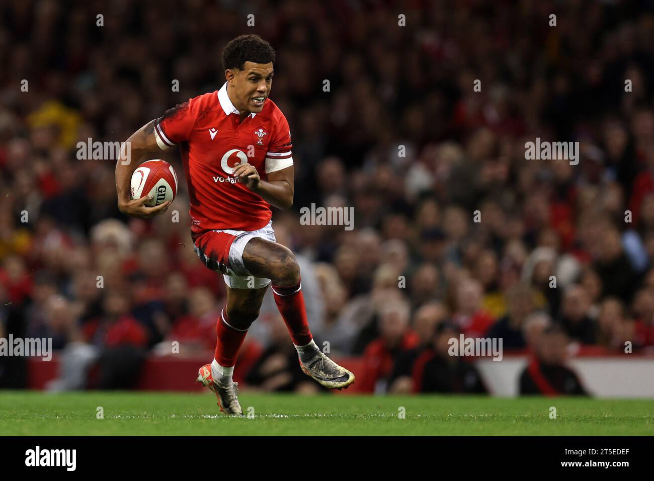 Rio dyer hi-res stock photography and images - Alamy